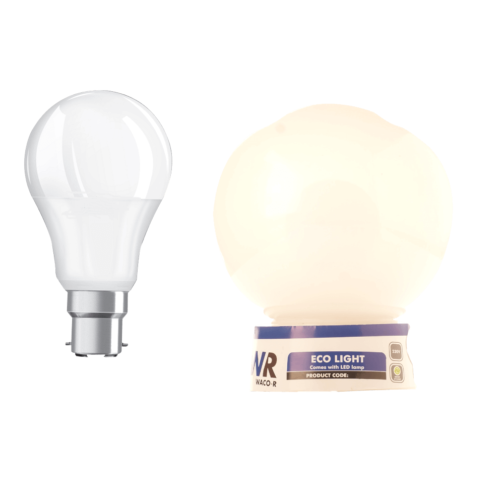 Clear Budget Light Includes A60 LED Globe, WACO - Cashbuild