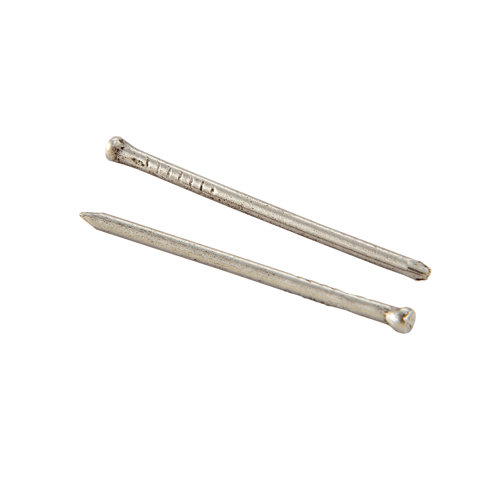 Nails Panel Pins SABS 500g/50x200mm, - Cashbuild