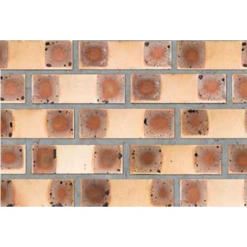 Brick Cameo 1 Face Brick, - Cashbuild