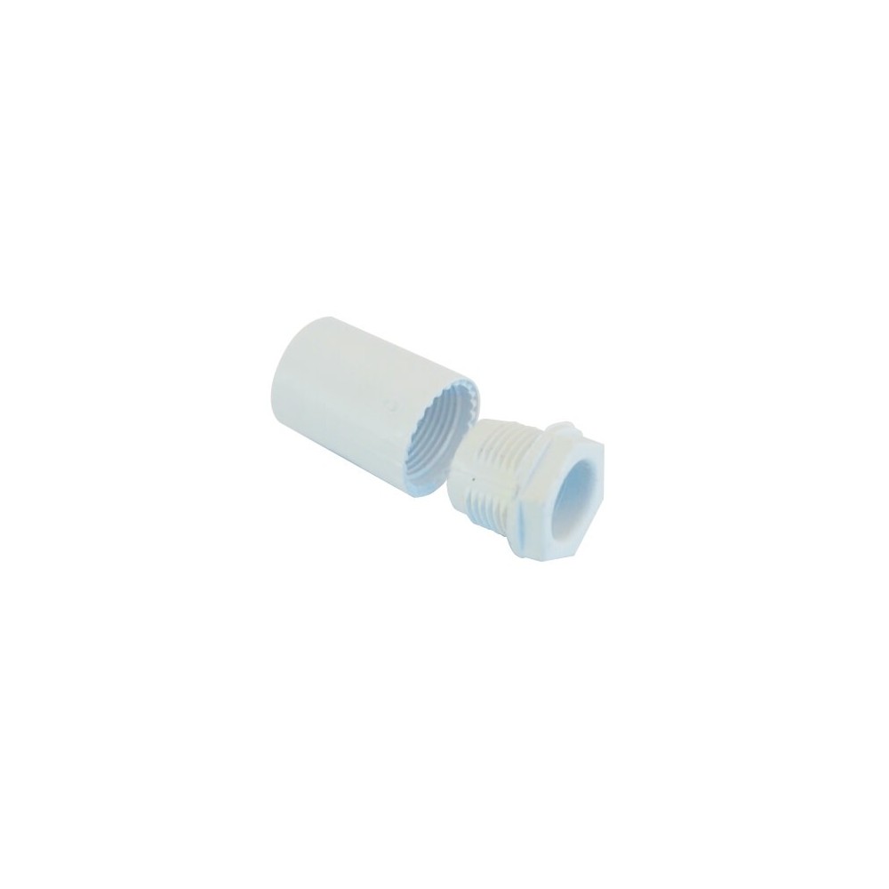 Female Adaptor SABS PVC 20mm Quantity:2, - Cashbuild