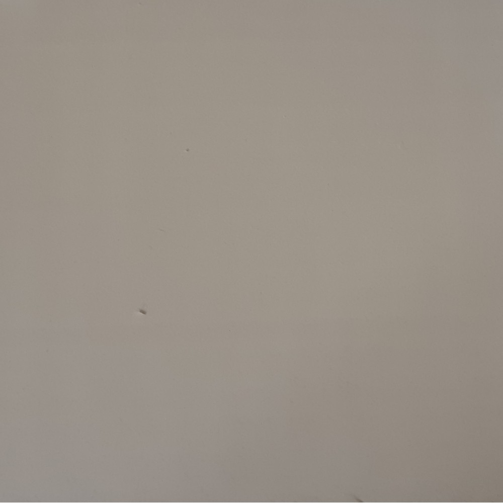 Champion Extra Thick PVA Lush Latte 20l, CHAMPION - Cashbuild