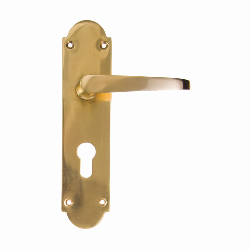 Brass 8 Victrorian Plated Cylinder Handle, - Cashbuild