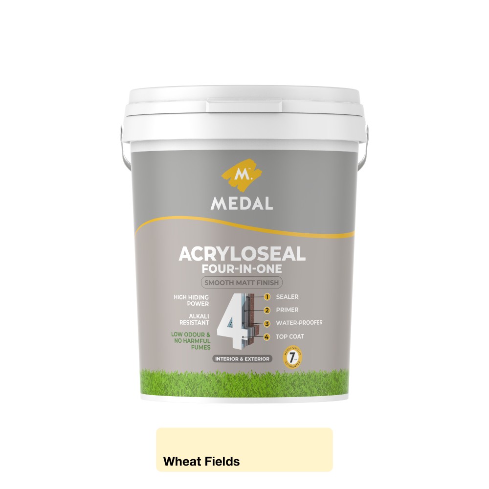 Paint | Shop in South Africa - Cashbuild (17)